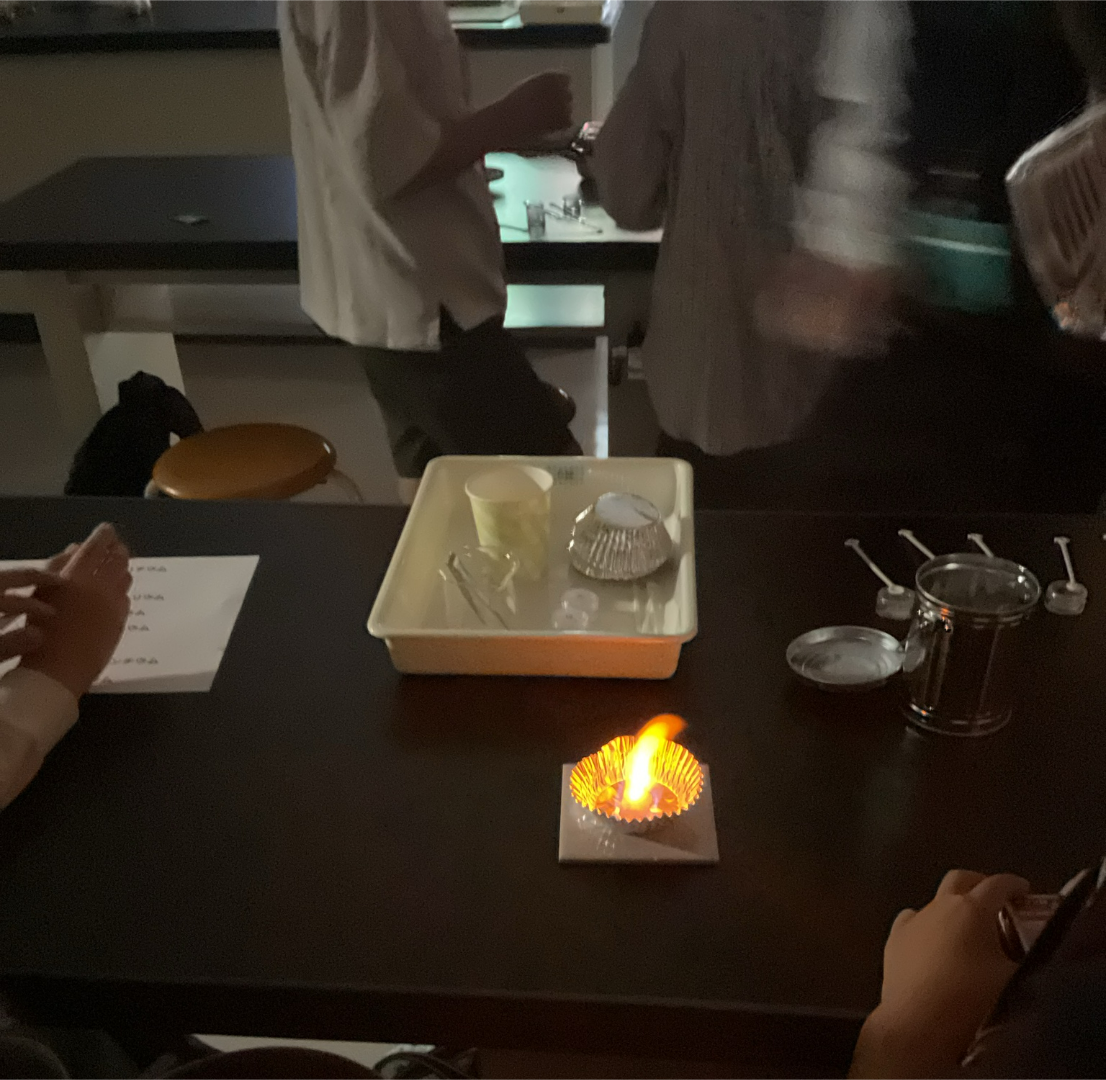 第1回附属中学学校説明会がありました。 | お知らせ | 中学校からお知らせ | 岐阜聖徳学園大学附属中学校